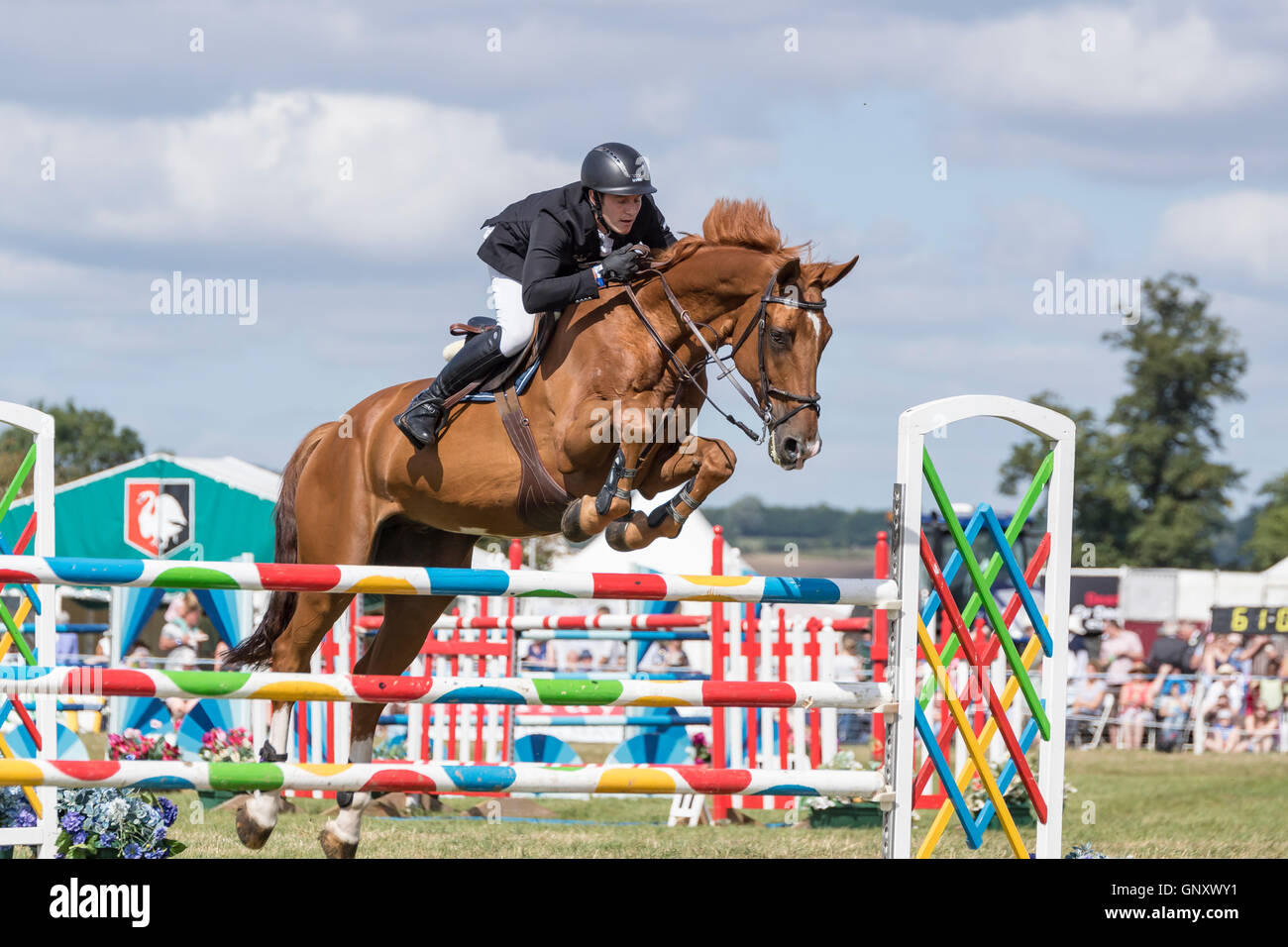 Springreiten meisterschaft -Fotos und -Bildmaterial in hoher Auflösung ...