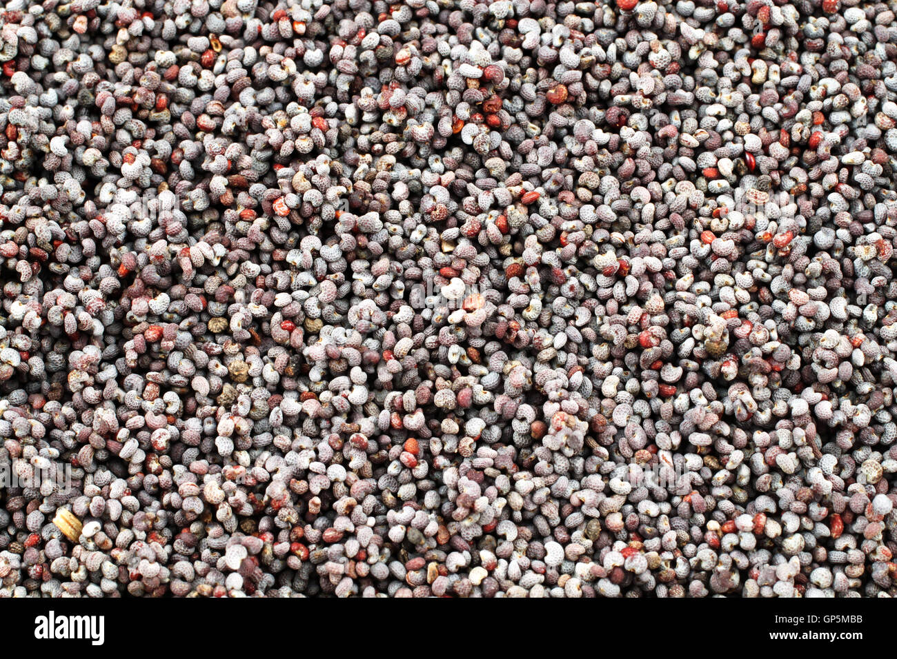 Nahaufnahme Mohn Stockfotos und -bilder Kaufen - Alamy