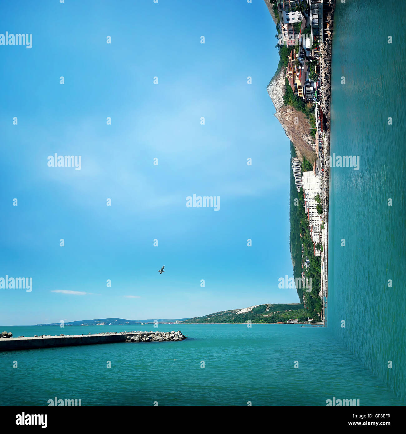 Surreales leben im meer -Fotos und -Bildmaterial in hoher Auflösung – Alamy