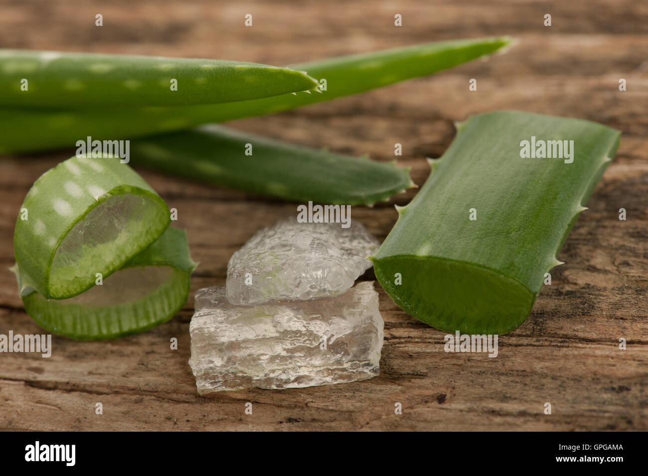 Aloe aloe vera -Fotos und -Bildmaterial in hoher Auflösung – Alamy