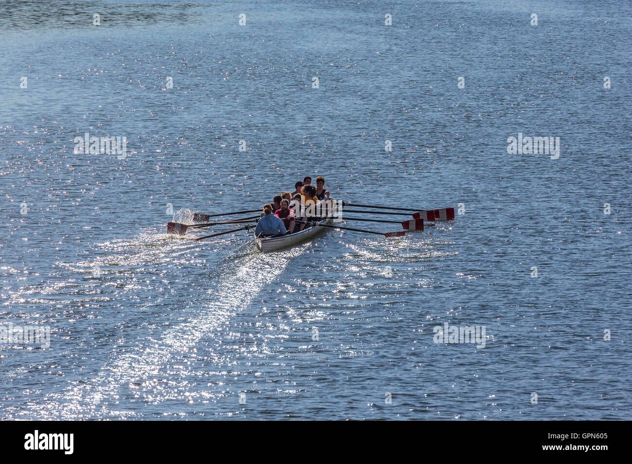 Acht ruderboot -Fotos und -Bildmaterial in hoher Auflösung - Seite 2 ...