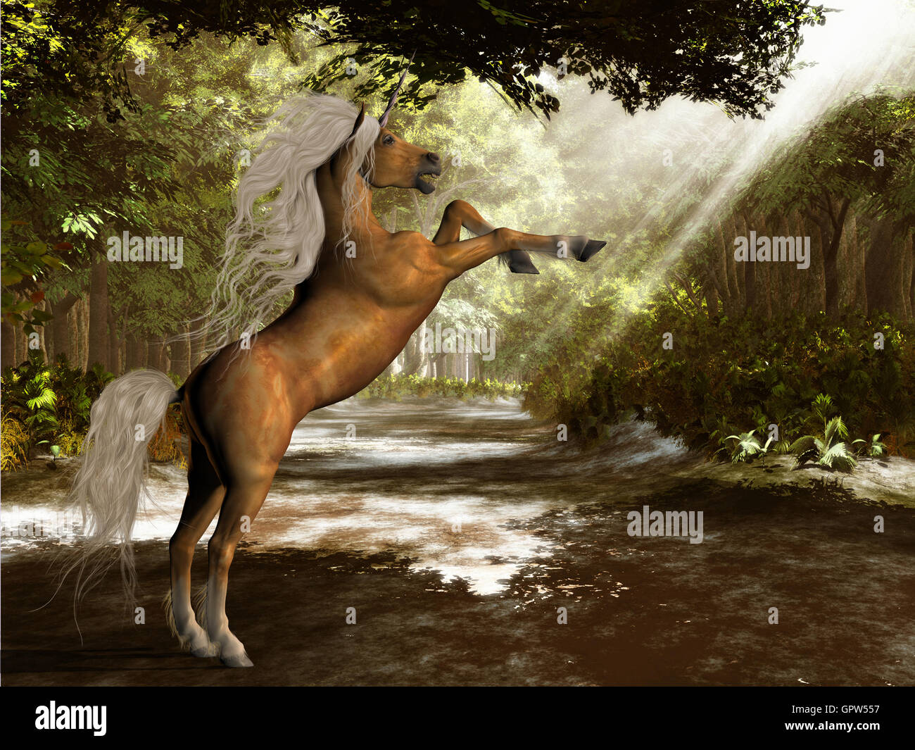 Einhorn fantasie -Fotos und -Bildmaterial in hoher Auflösung – Alamy