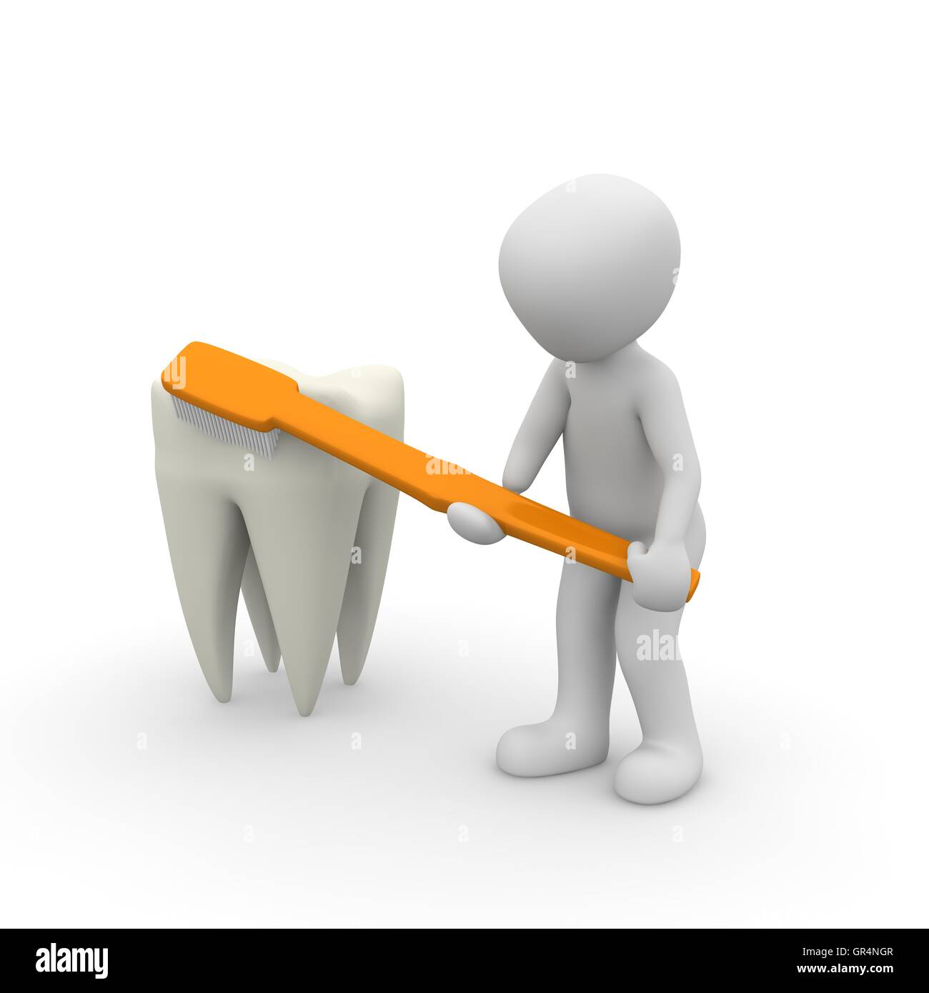 Anatomie biologie -Fotos und -Bildmaterial in hoher Auflösung - Seite 2 ...