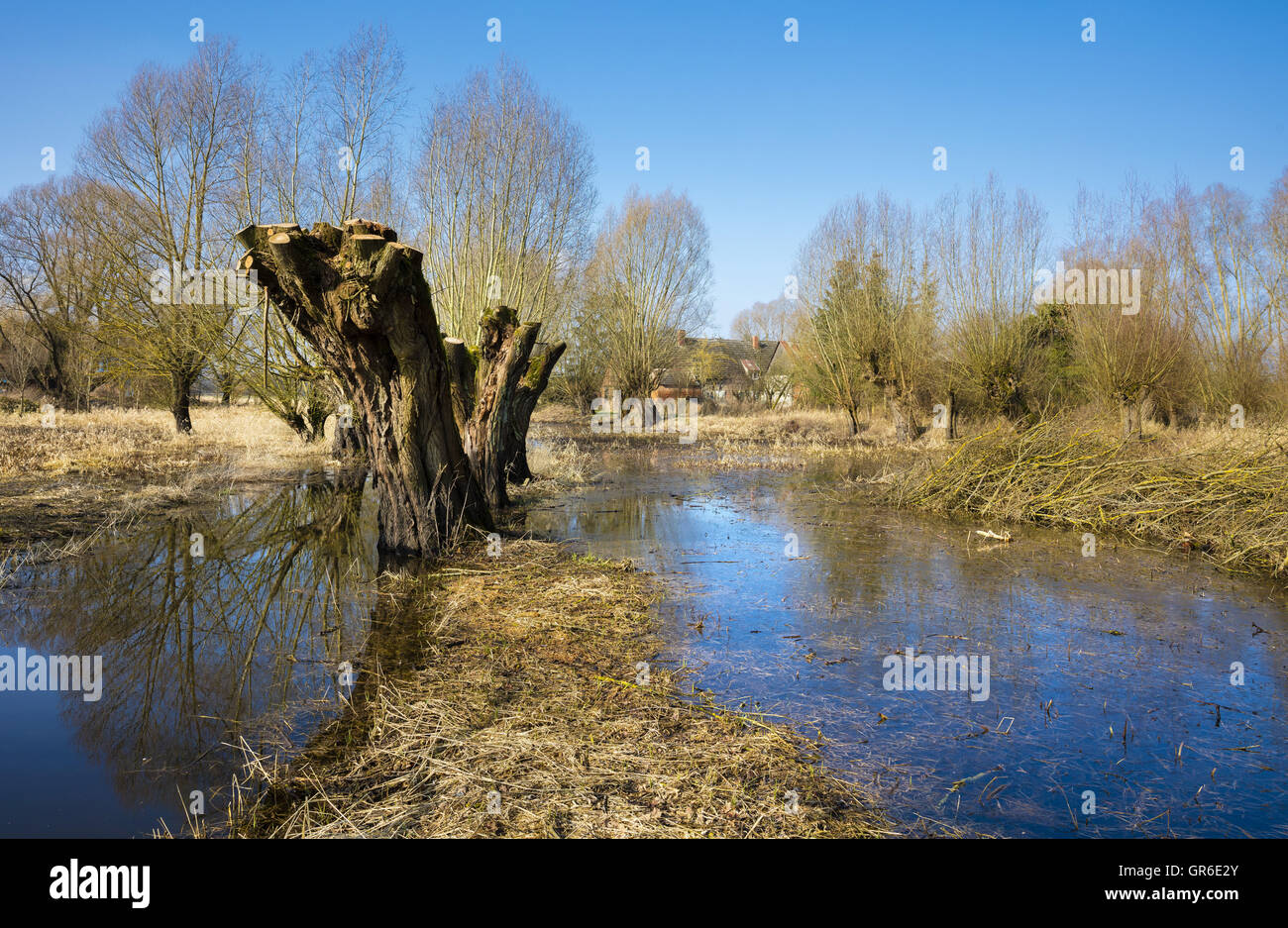 Land brandenburg sumpfgebiet -Fotos und -Bildmaterial in hoher ...