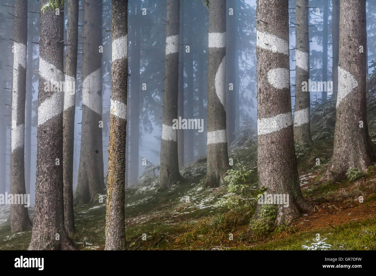 Düster gemälde -Fotos und -Bildmaterial in hoher Auflösung – Alamy