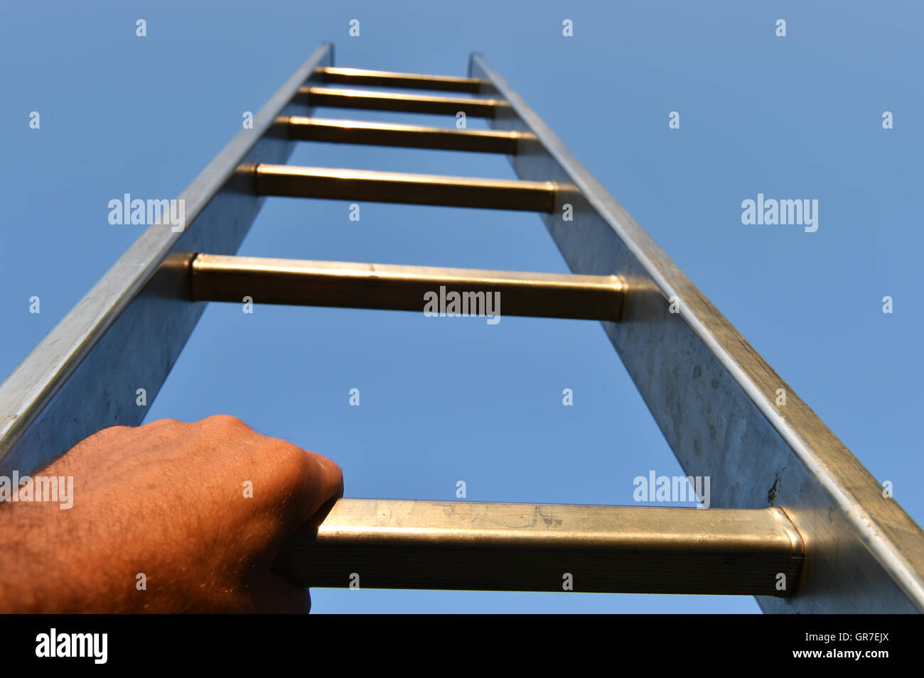 Leiter halten -Fotos und -Bildmaterial in hoher Auflösung – Alamy