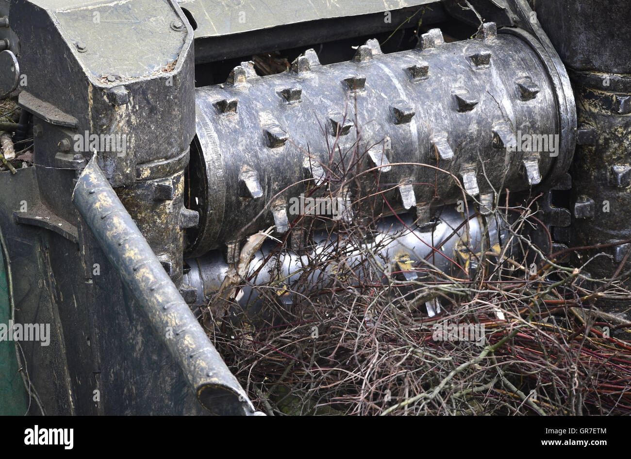 Shredding branches -Fotos und -Bildmaterial in hoher Auflösung – Alamy