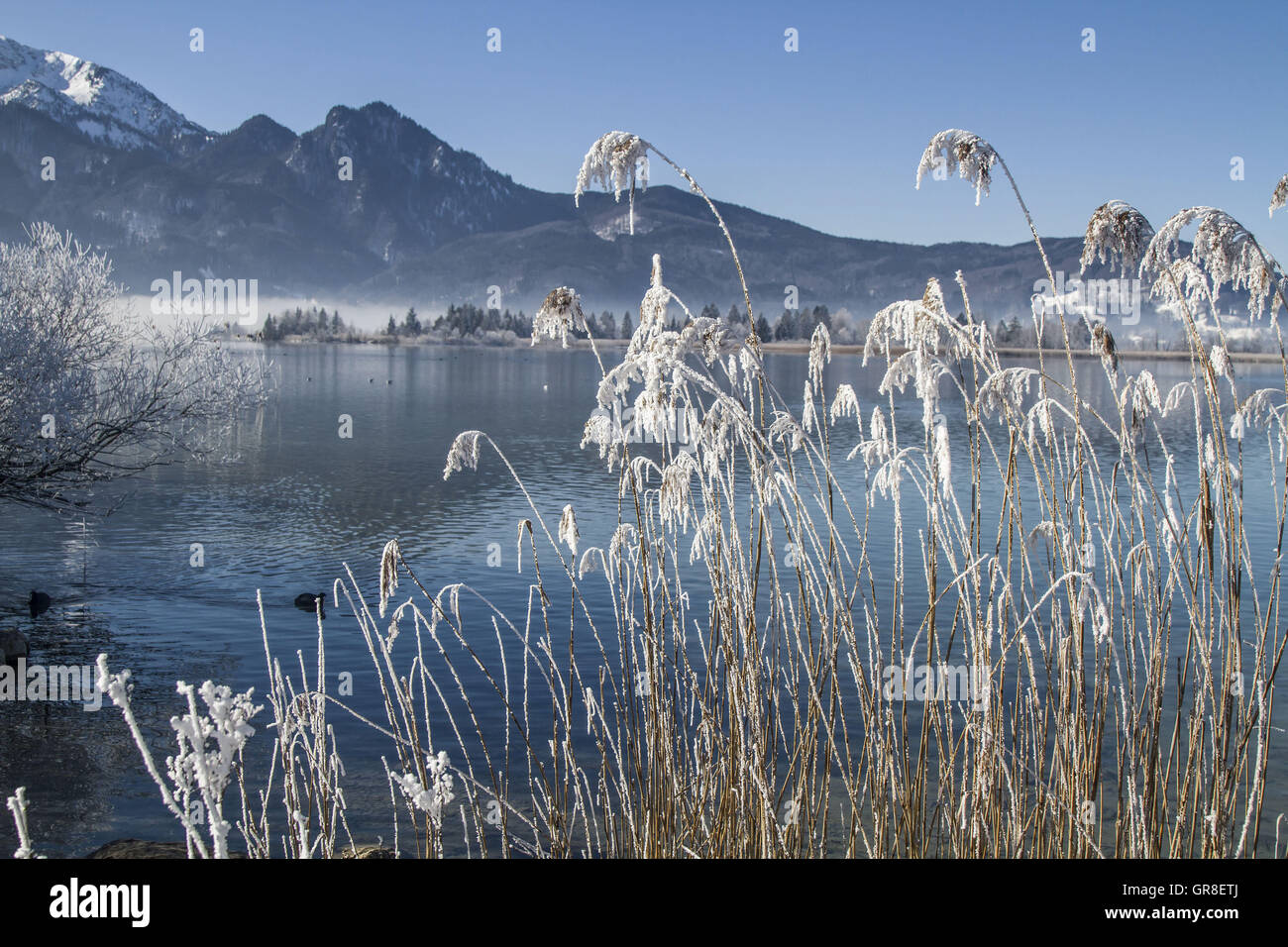 Kochelsee winter -Fotos und -Bildmaterial in hoher Auflösung – Alamy