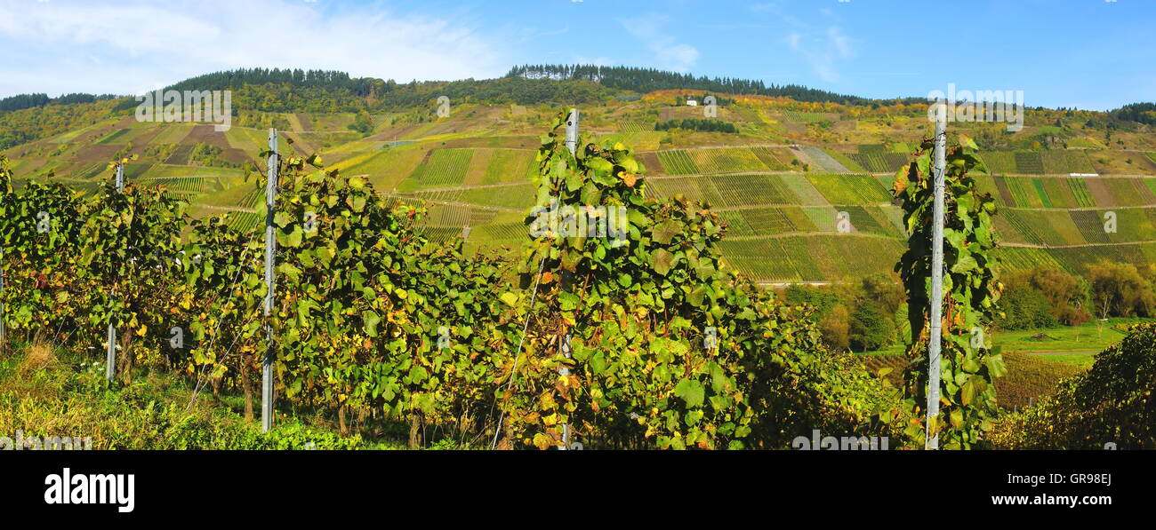 Deutsches Krov Stockfotos und -bilder Kaufen - Alamy