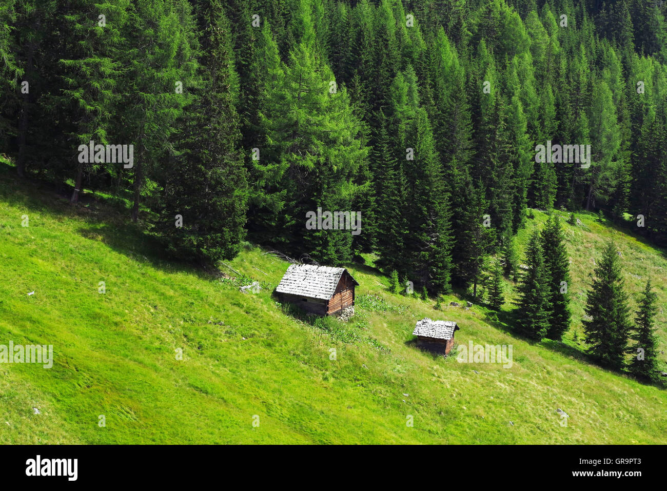 Alm almwiesen -Fotos und -Bildmaterial in hoher Auflösung – Alamy