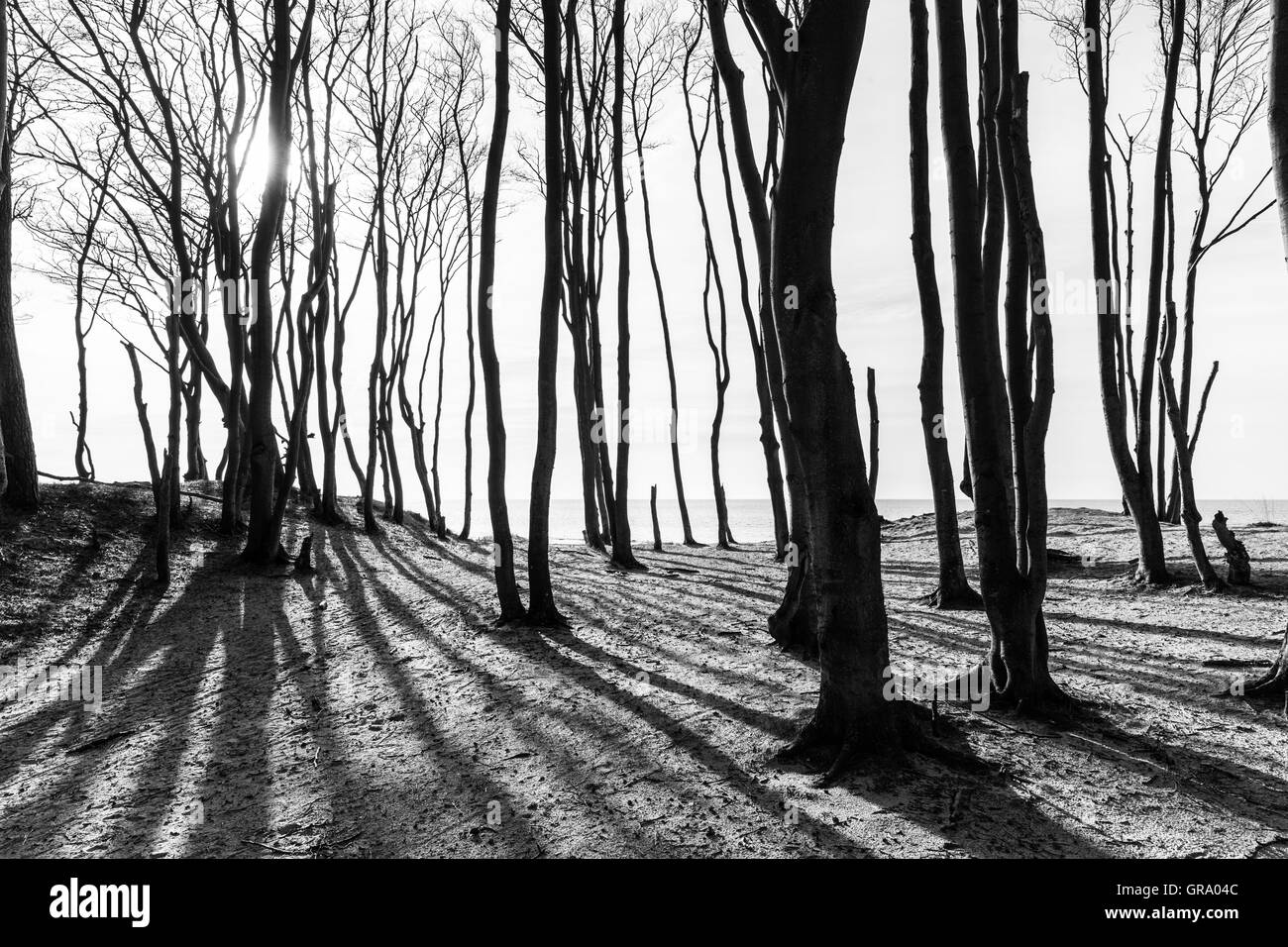 Weißes bild -Fotos und -Bildmaterial in hoher Auflösung – Alamy