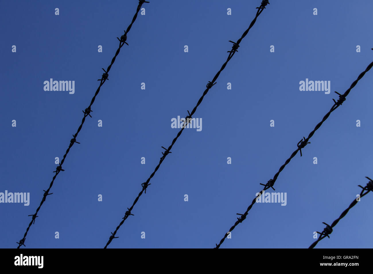 Nato wire barbed wire detail -Fotos und -Bildmaterial in hoher ...