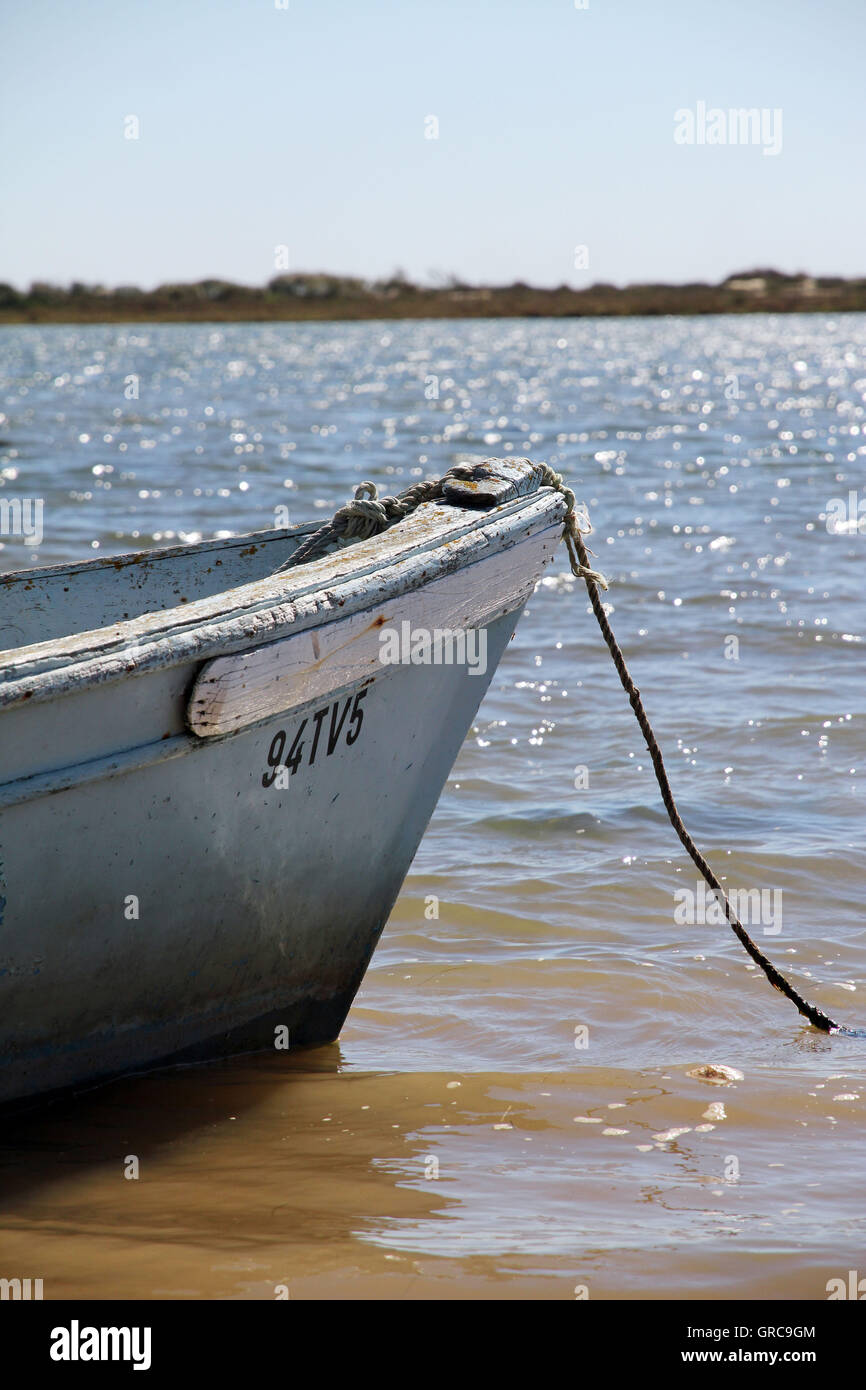 Sportboot bug -Fotos und -Bildmaterial in hoher Auflösung – Alamy
