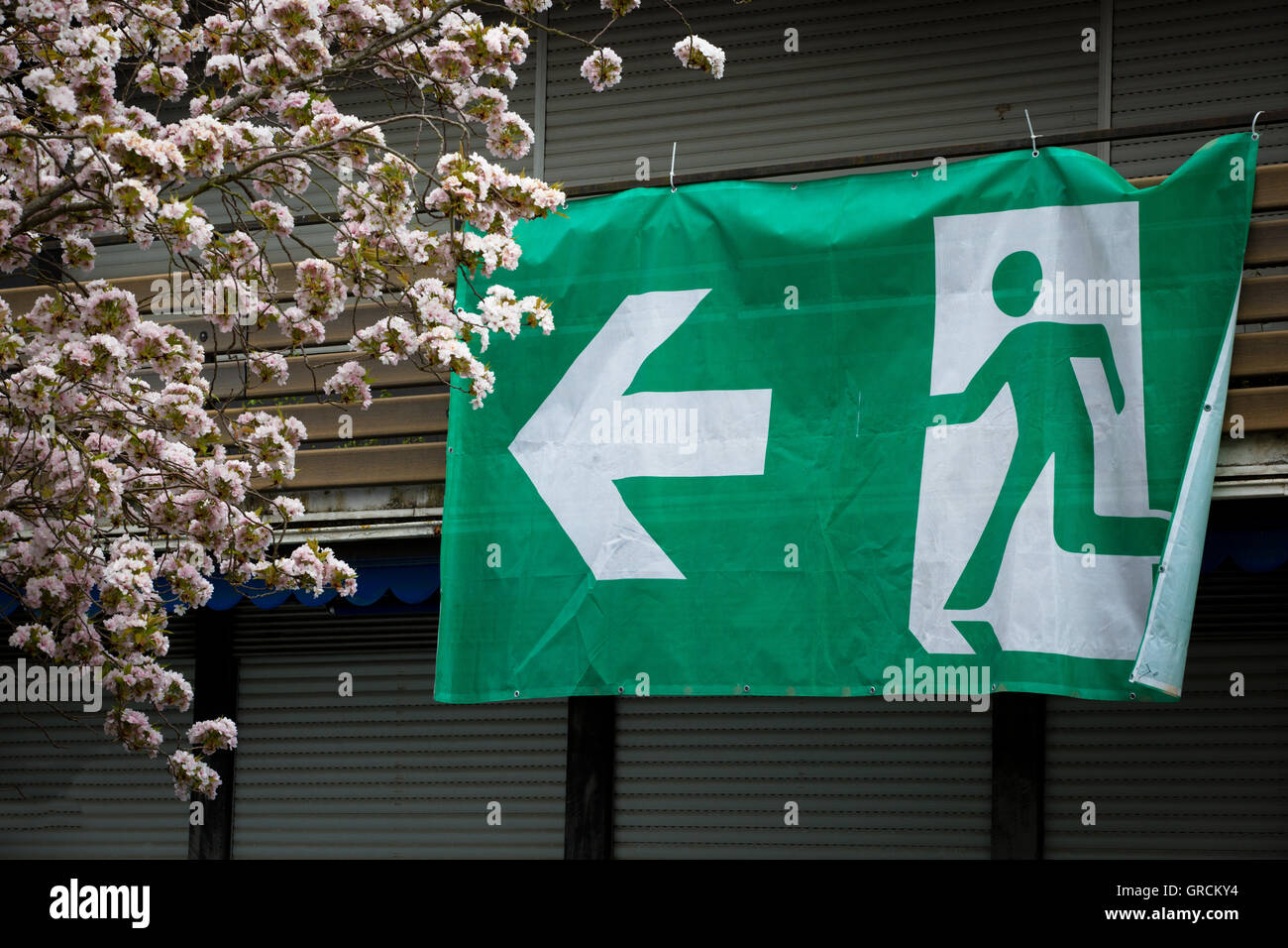 Large format -Fotos und -Bildmaterial in hoher Auflösung – Alamy
