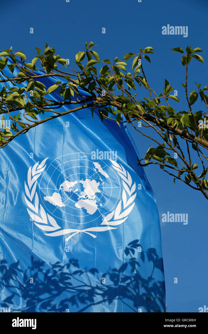 Un flagge -Fotos und -Bildmaterial in hoher Auflösung – Alamy