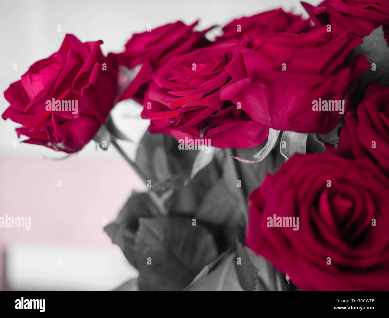 Strauss rote rosen -Fotos und -Bildmaterial in hoher Auflösung – Alamy