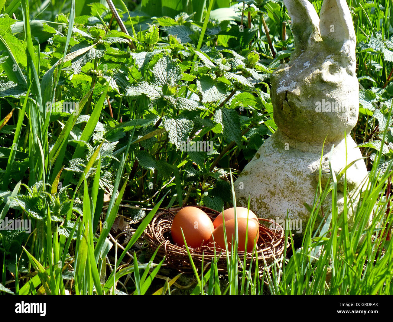 Osterhase horizontal -Fotos und -Bildmaterial in hoher Auflösung – Alamy