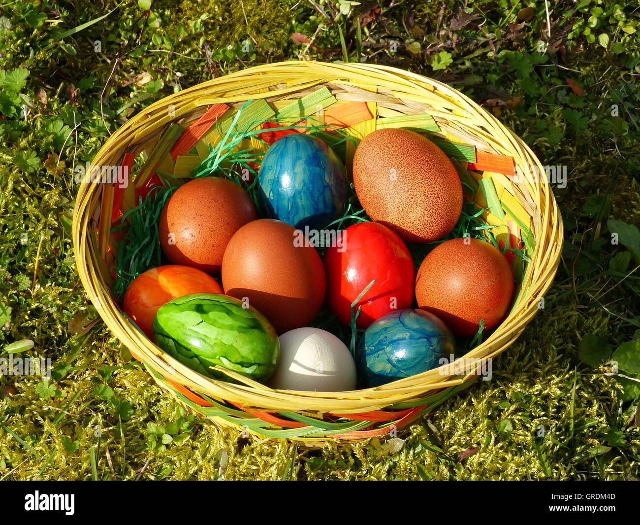 Osternest mit farbigen eiern -Fotos und -Bildmaterial in hoher ...
