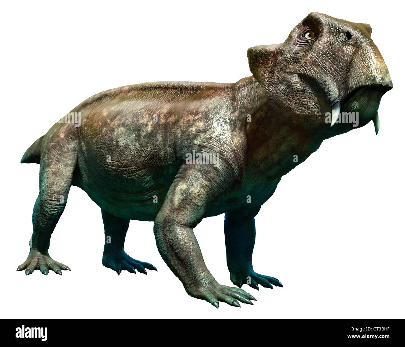 Permian triassic -Fotos und -Bildmaterial in hoher Auflösung – Alamy