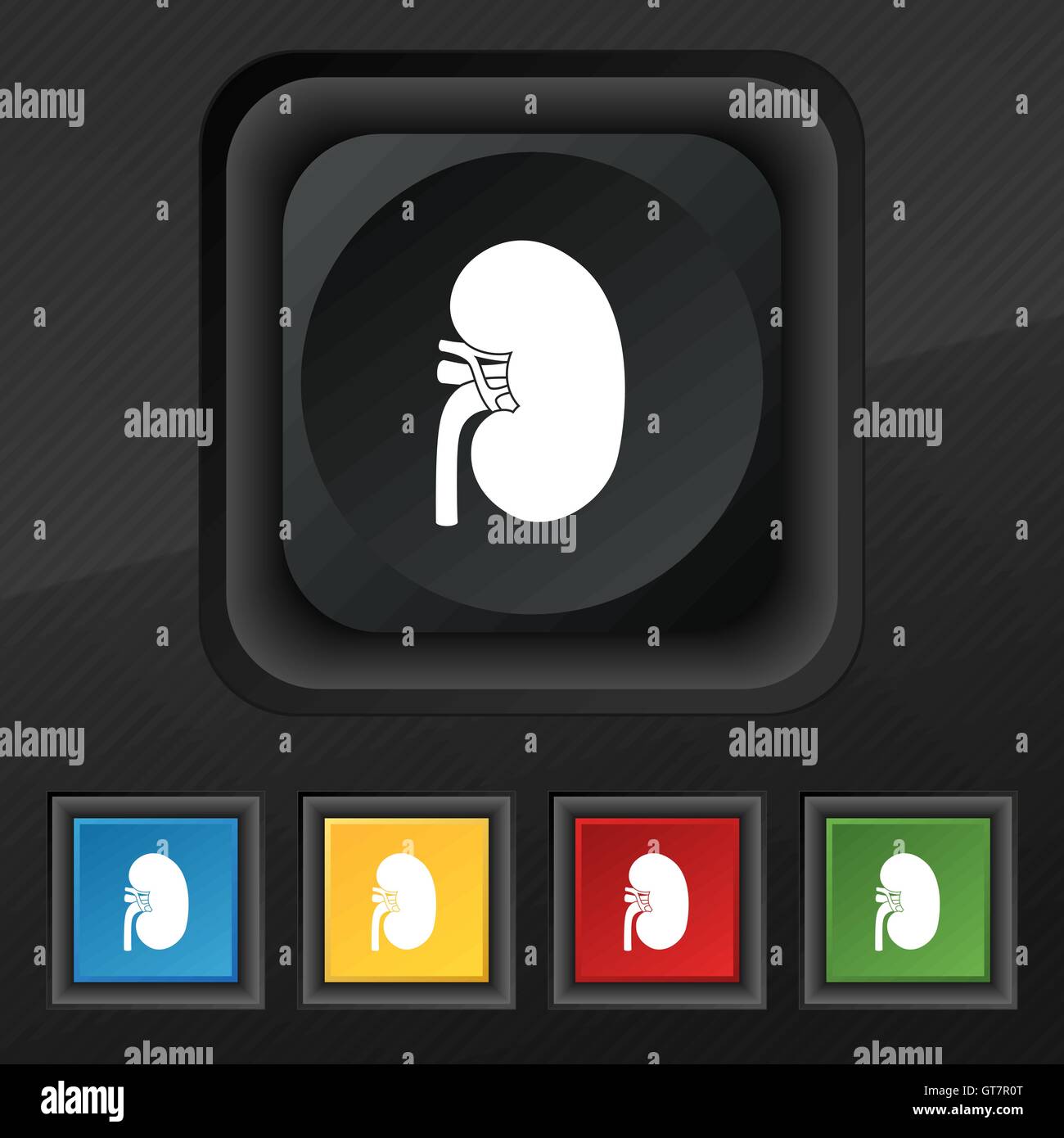 Urologie symbol Stock-Vektorgrafiken kaufen - Alamy