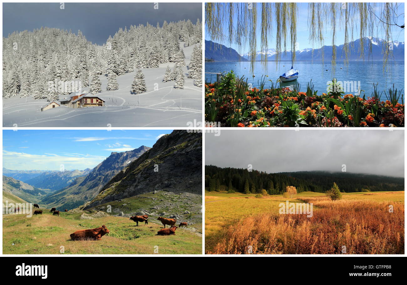 Autumn collage -Fotos und -Bildmaterial in hoher Auflösung – Alamy