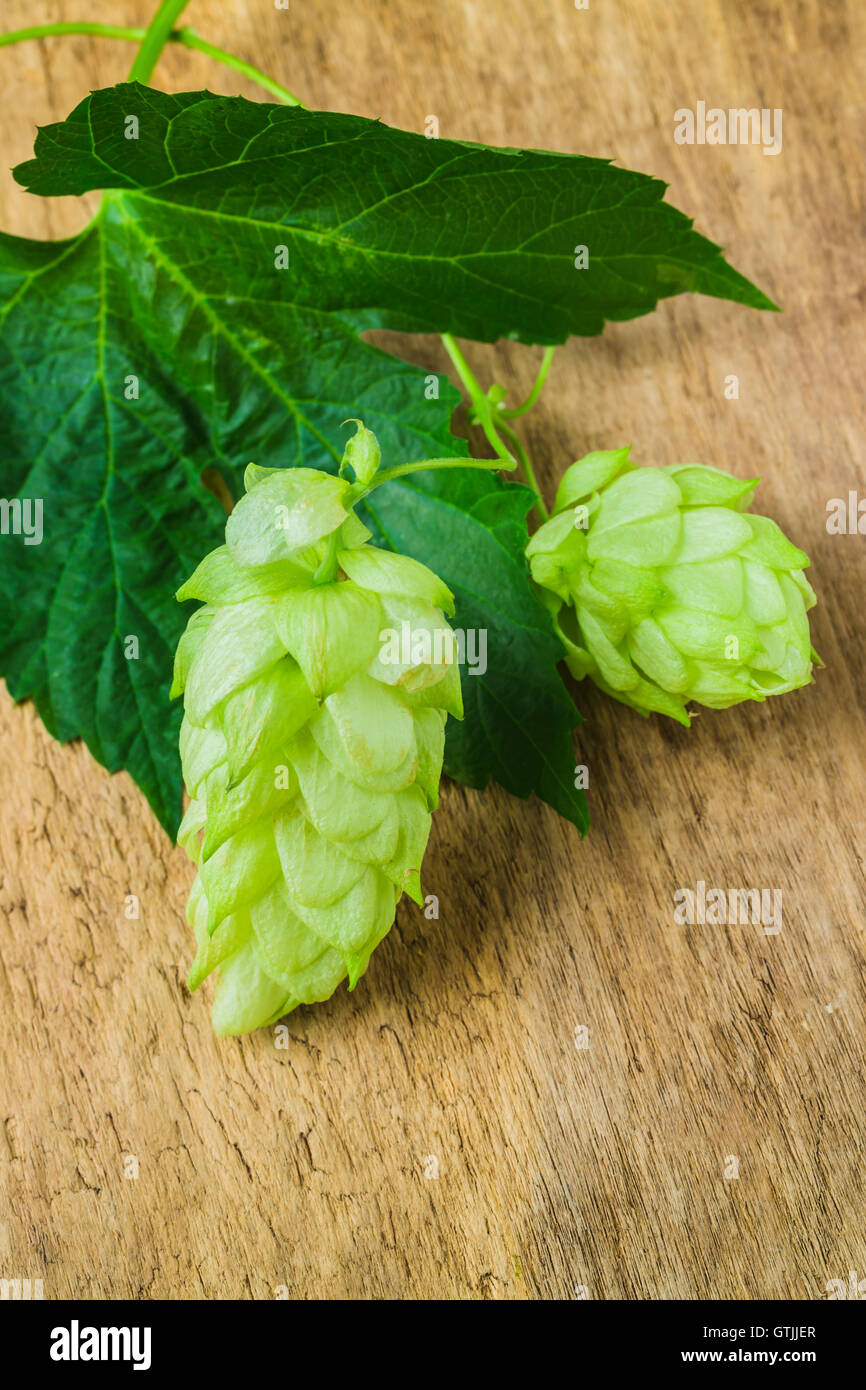 Hopfen hintergrund -Fotos und -Bildmaterial in hoher Auflösung – Alamy