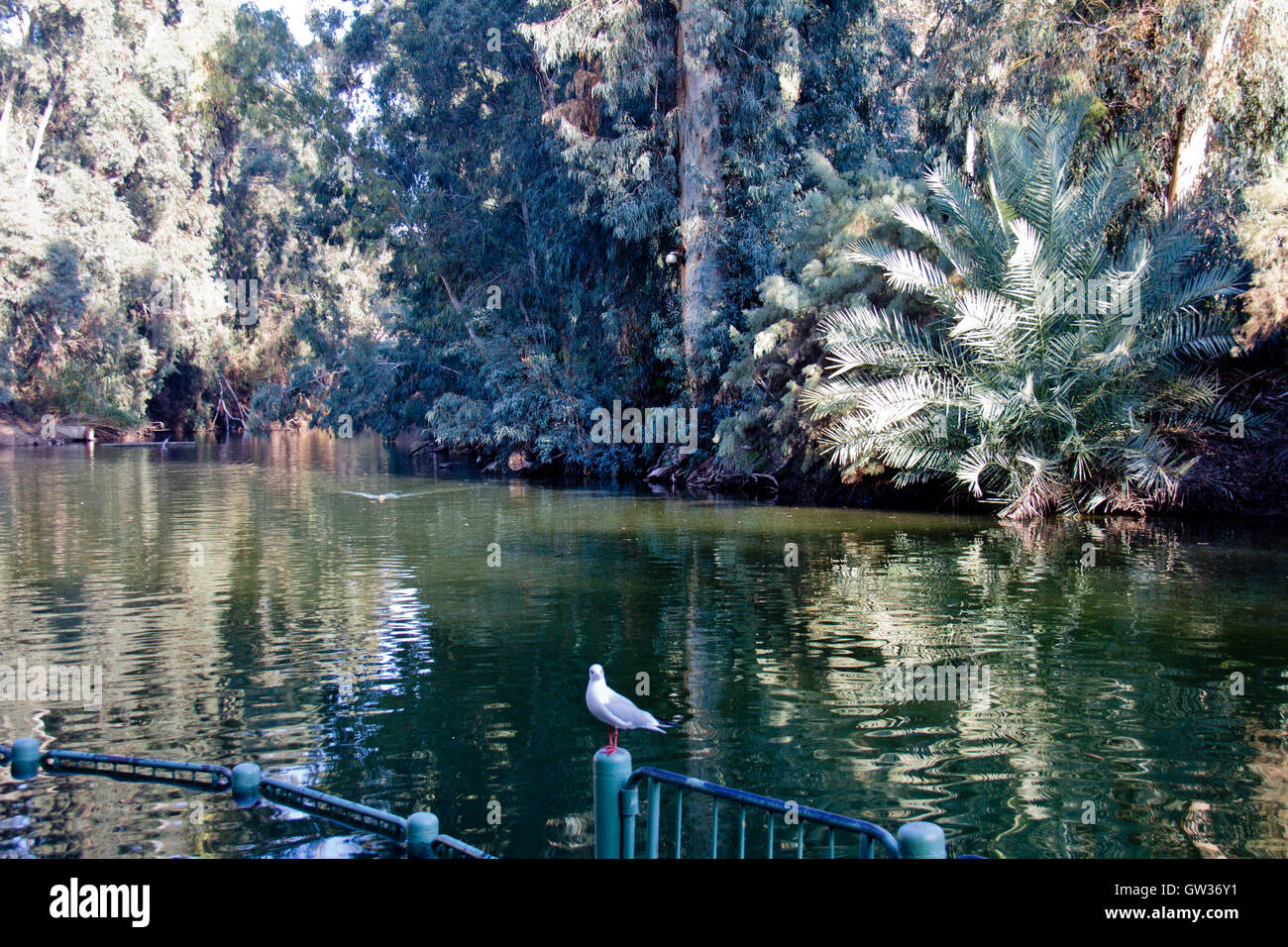River jordan -Fotos und -Bildmaterial in hoher Auflösung – Alamy