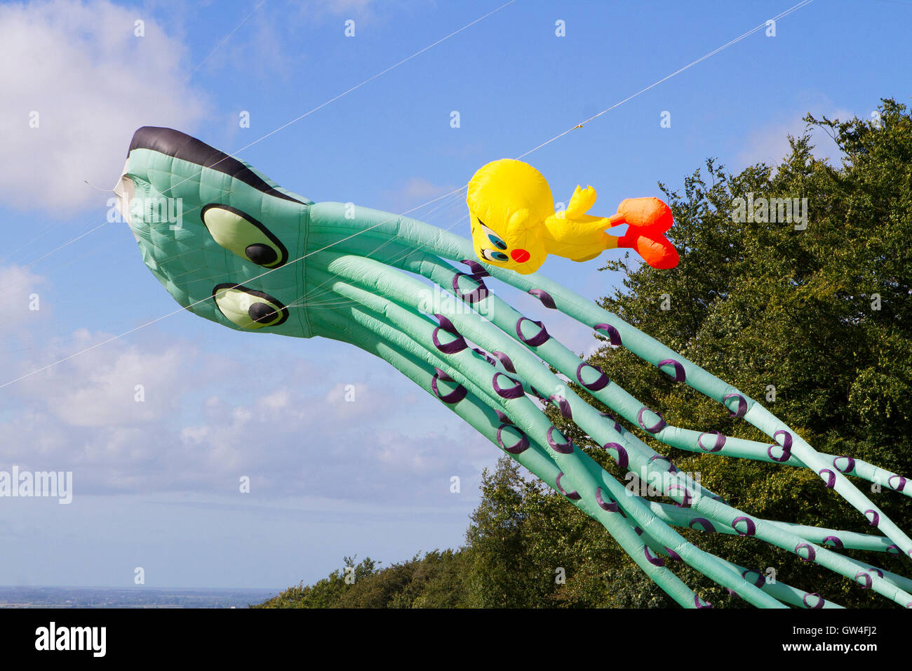 Tweety pie spielzeug -Fotos und -Bildmaterial in hoher Auflösung – Alamy