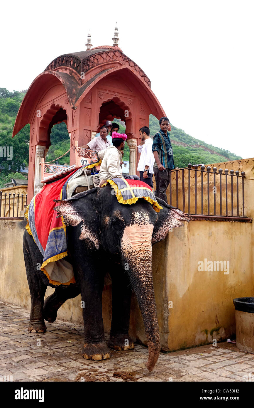 Traditi Safari (Reiten) Elefant und die allgemeine Elefant Regalia am ...