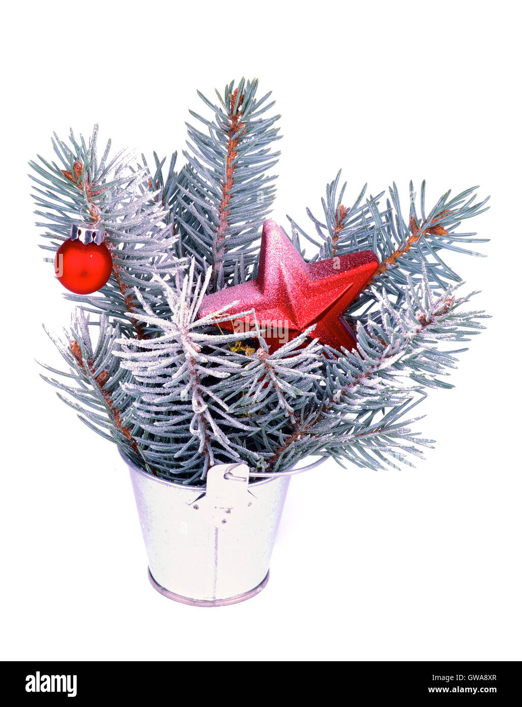 Birke fichte -Fotos und -Bildmaterial in hoher Auflösung – Alamy