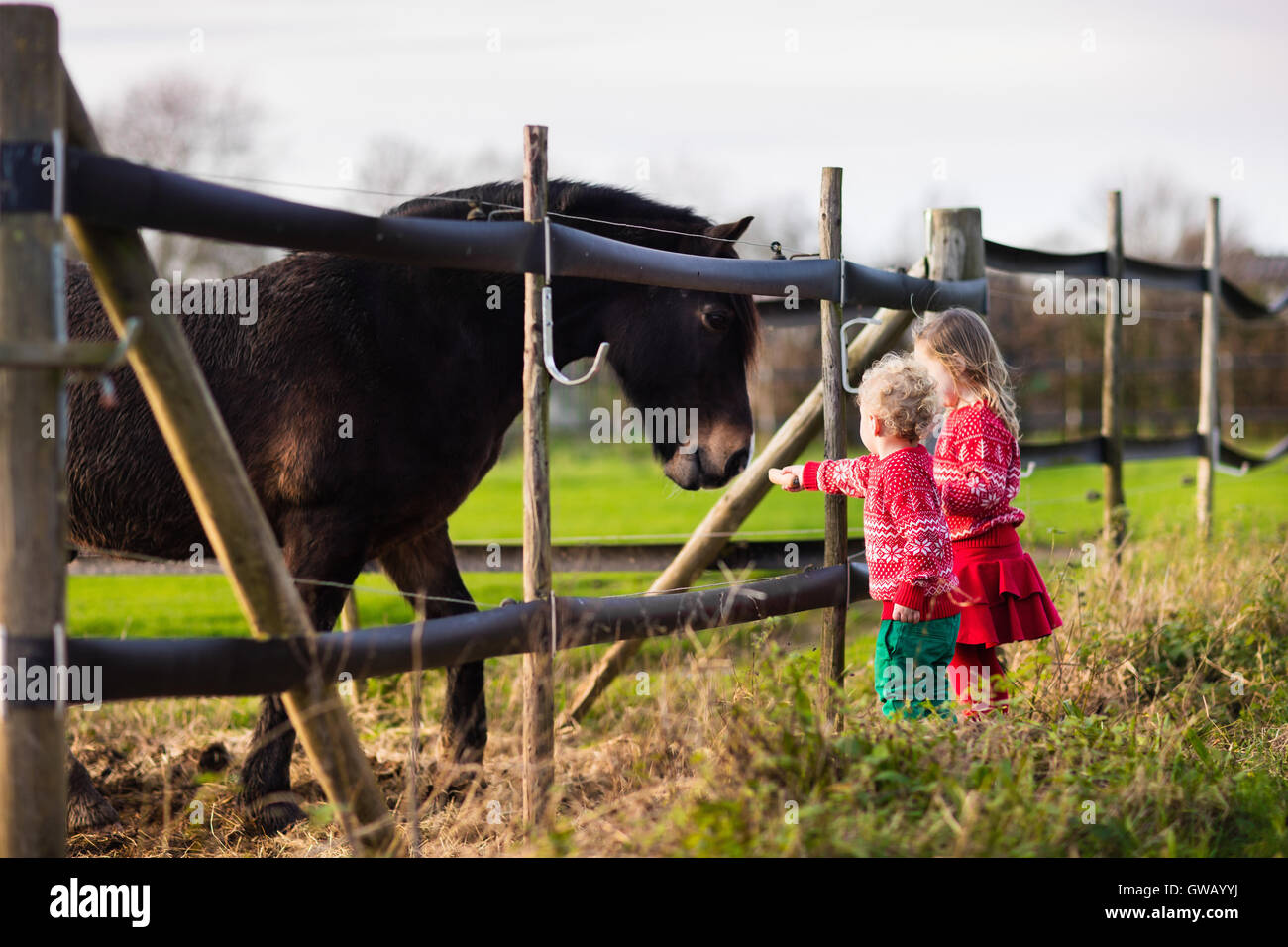 Familie auf Bauernhof im Herbst. Kinder ein Pferd zu füttern. Outdoor ...