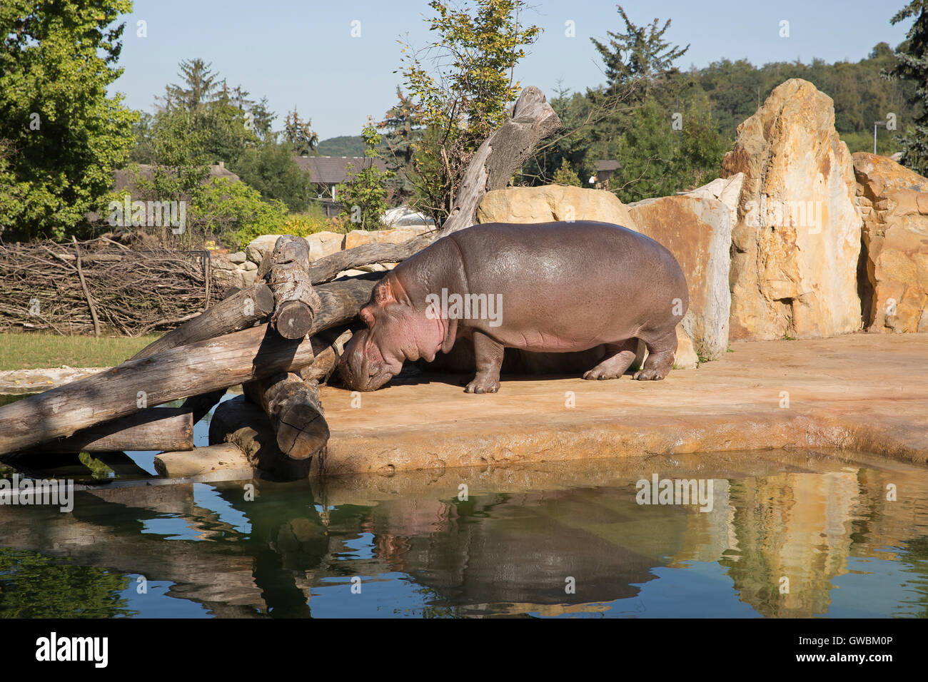 Der Grsste Zoo Der Welt