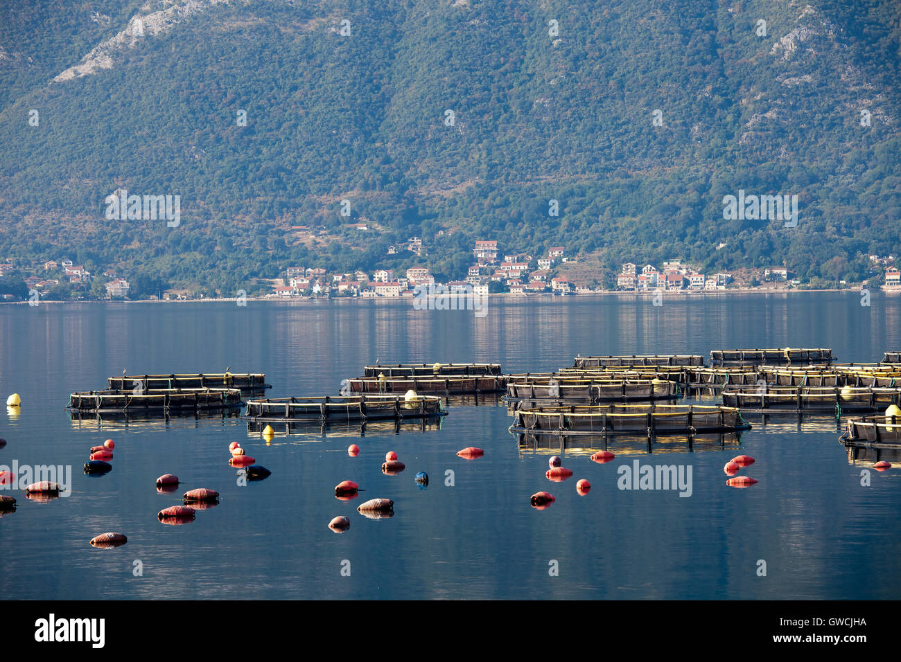 Fischzucht meer -Fotos und -Bildmaterial in hoher Auflösung – Alamy