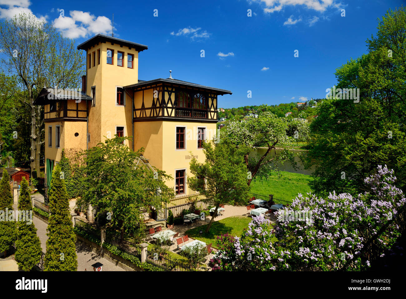 Villa Dresden Saxony Stockfotos und -bilder Kaufen - Alamy