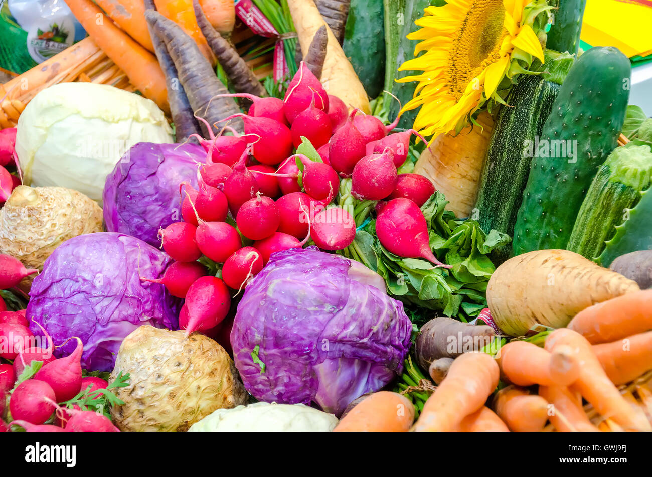 Rosa karotten -Fotos und -Bildmaterial in hoher Auflösung – Alamy