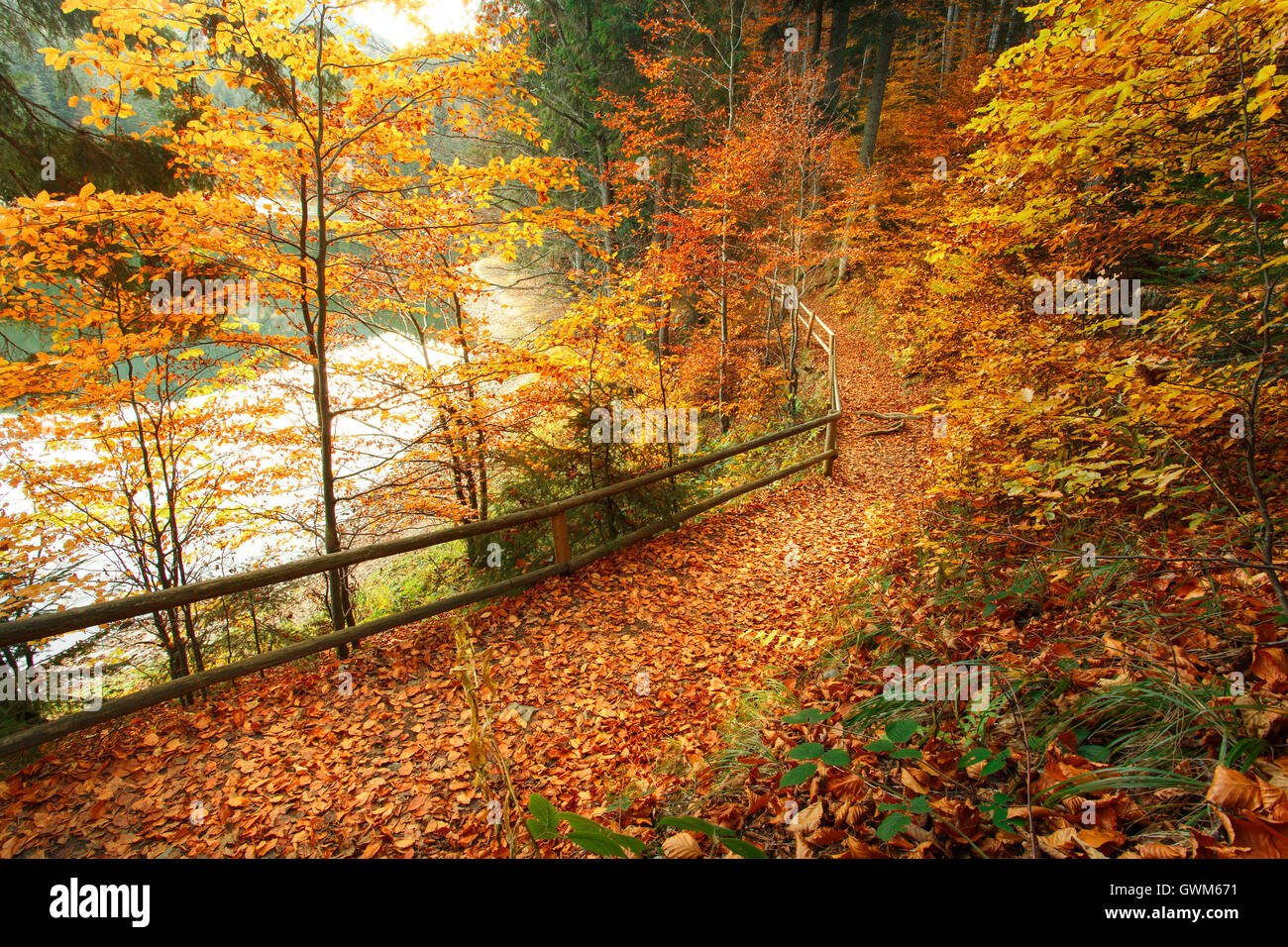 Wanderung herbst herbst farbe -Fotos und -Bildmaterial in hoher ...