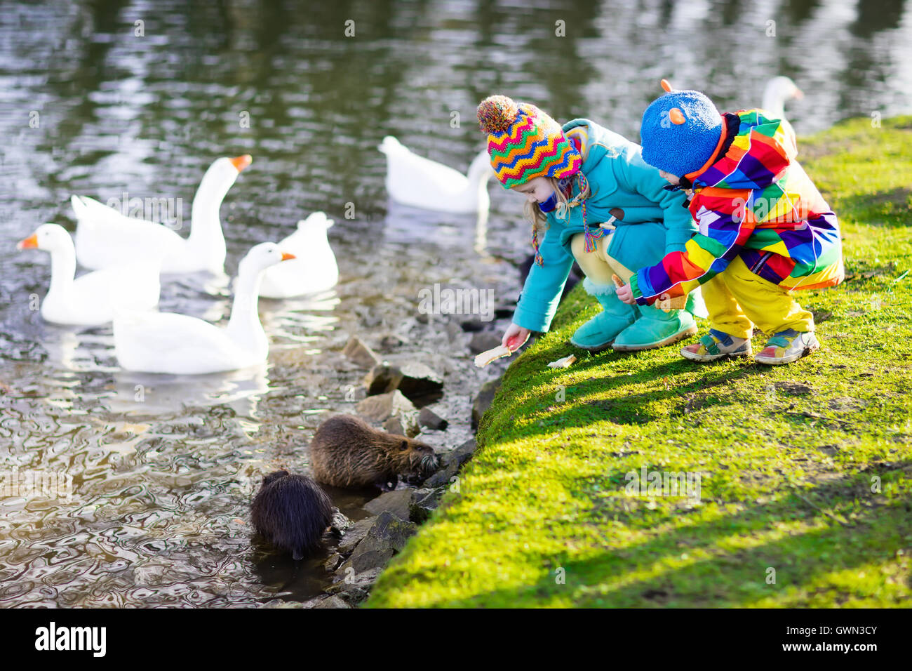 Kleine Mädchen und jungen, die Fütterung von Otter, Enten und Gänse im ...