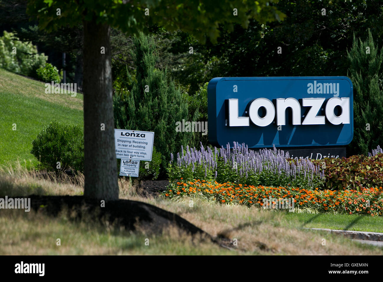 Lonza group -Fotos und -Bildmaterial in hoher Auflösung – Alamy