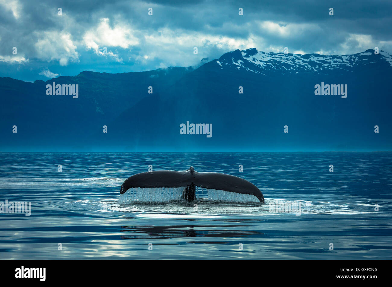 Alaska magazin -Fotos und -Bildmaterial in hoher Auflösung – Alamy