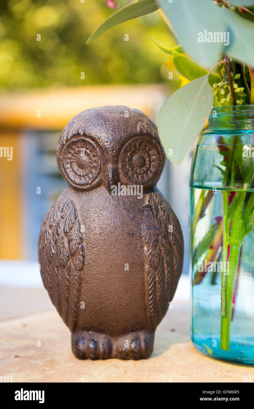 Eulen zentrum -Fotos und -Bildmaterial in hoher Auflösung – Alamy