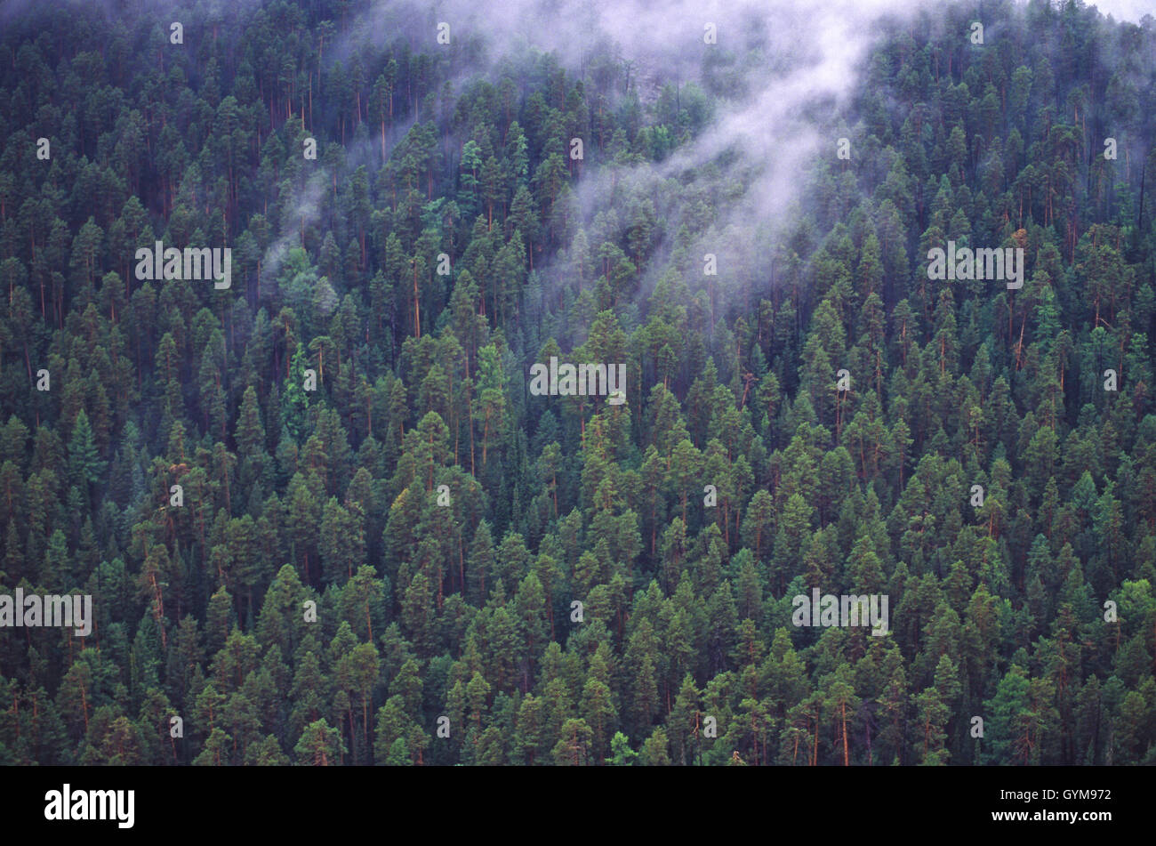 Barguzin Zapovednik (Naturschutzgebiet), den Baikalsee. Die Bargusin ...