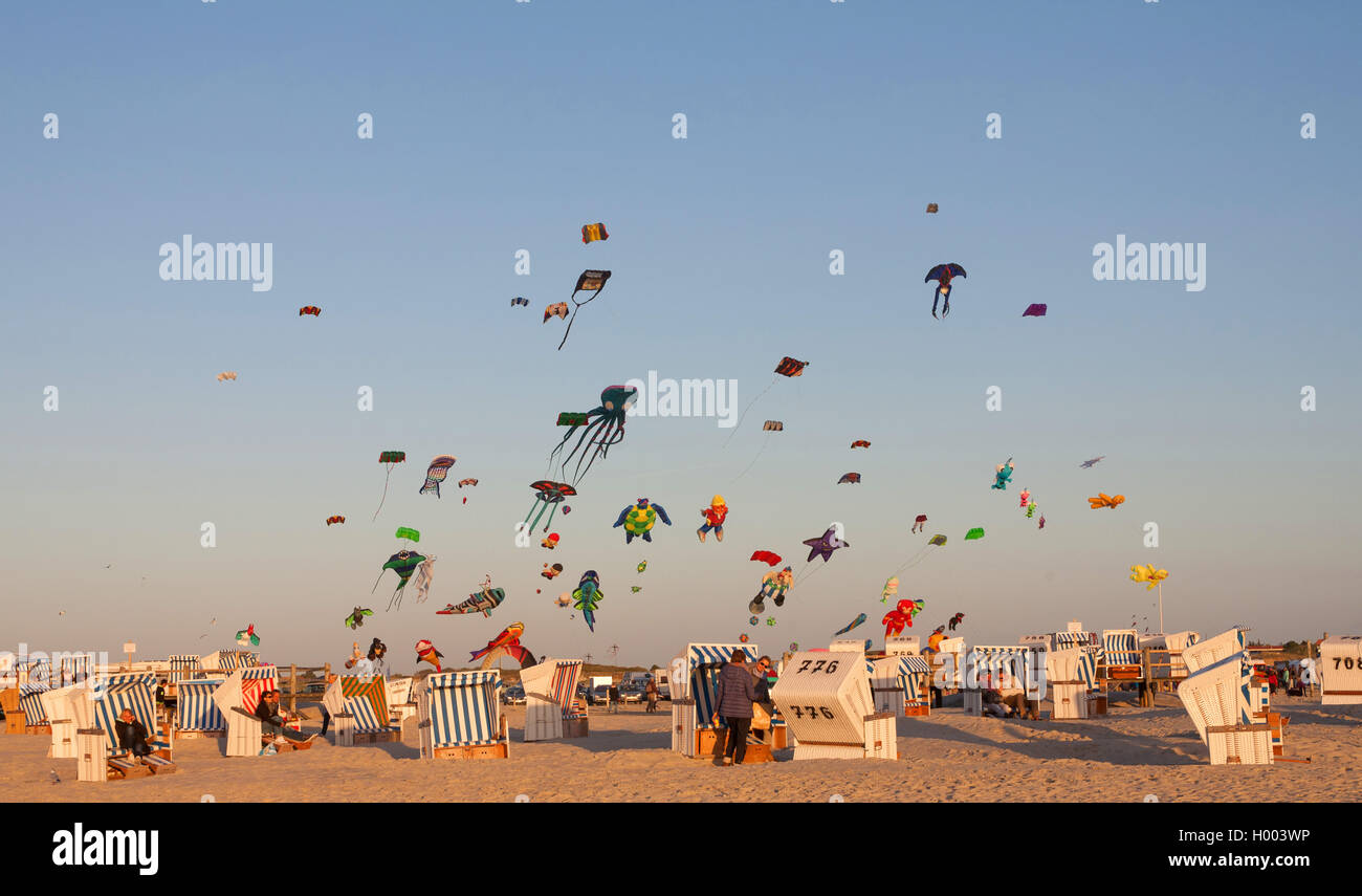 Drachen steigen lassen am strand -Fotos und -Bildmaterial in hoher ...