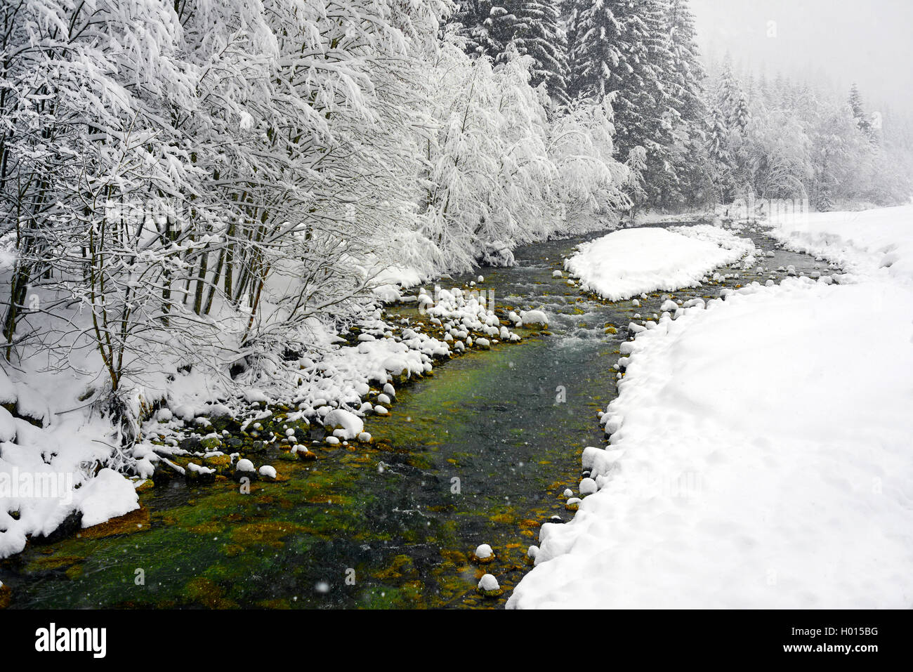 Verschneiter wald fluss -Fotos und -Bildmaterial in hoher Auflösung – Alamy