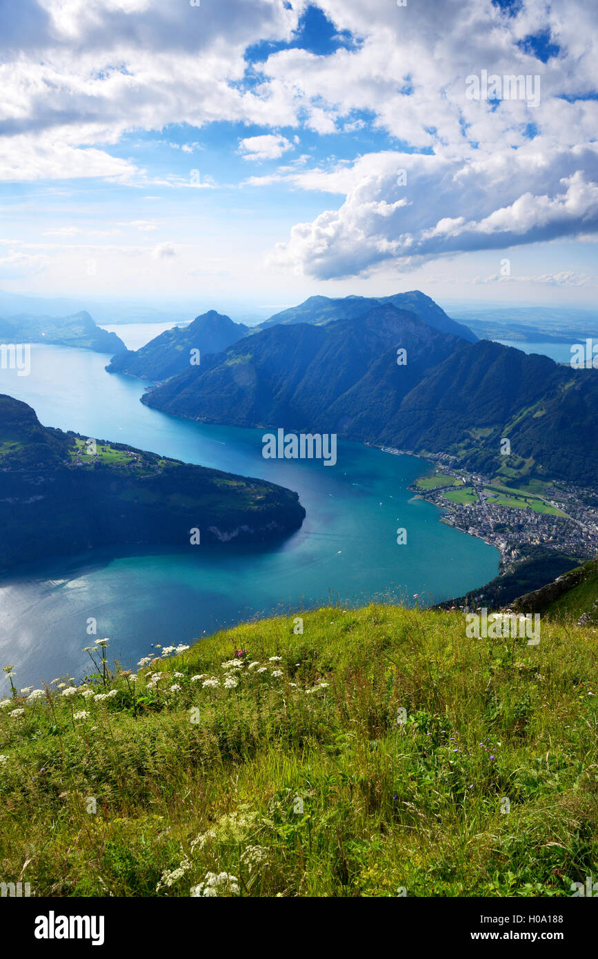 Aussicht Vom Fronalpstock, Rigi und Vierwaldstätter See hinter, Stoos ...