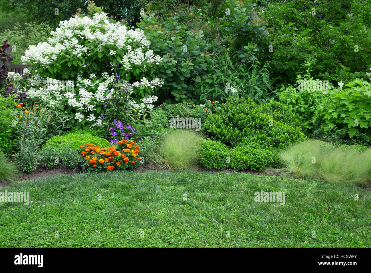 Rasen design -Fotos und -Bildmaterial in hoher Auflösung – Alamy
