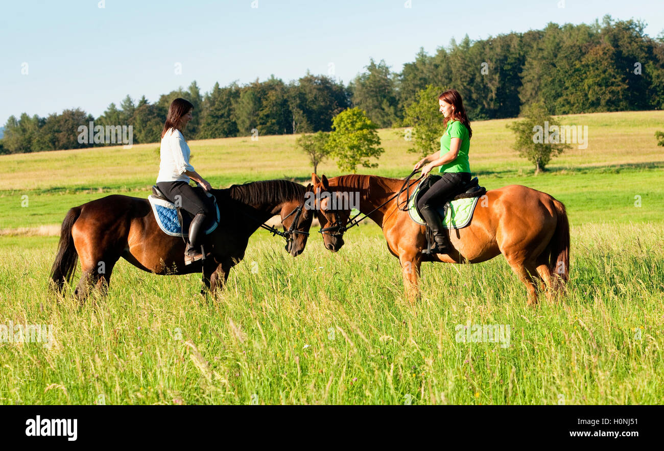 Friends riding horses -Fotos und -Bildmaterial in hoher Auflösung – Alamy