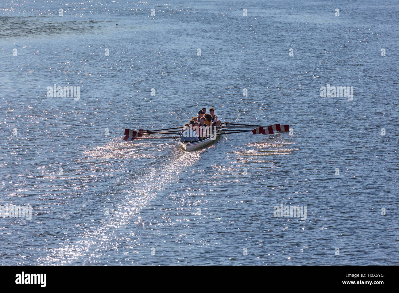 Acht ruderboot -Fotos und -Bildmaterial in hoher Auflösung - Seite 2 ...