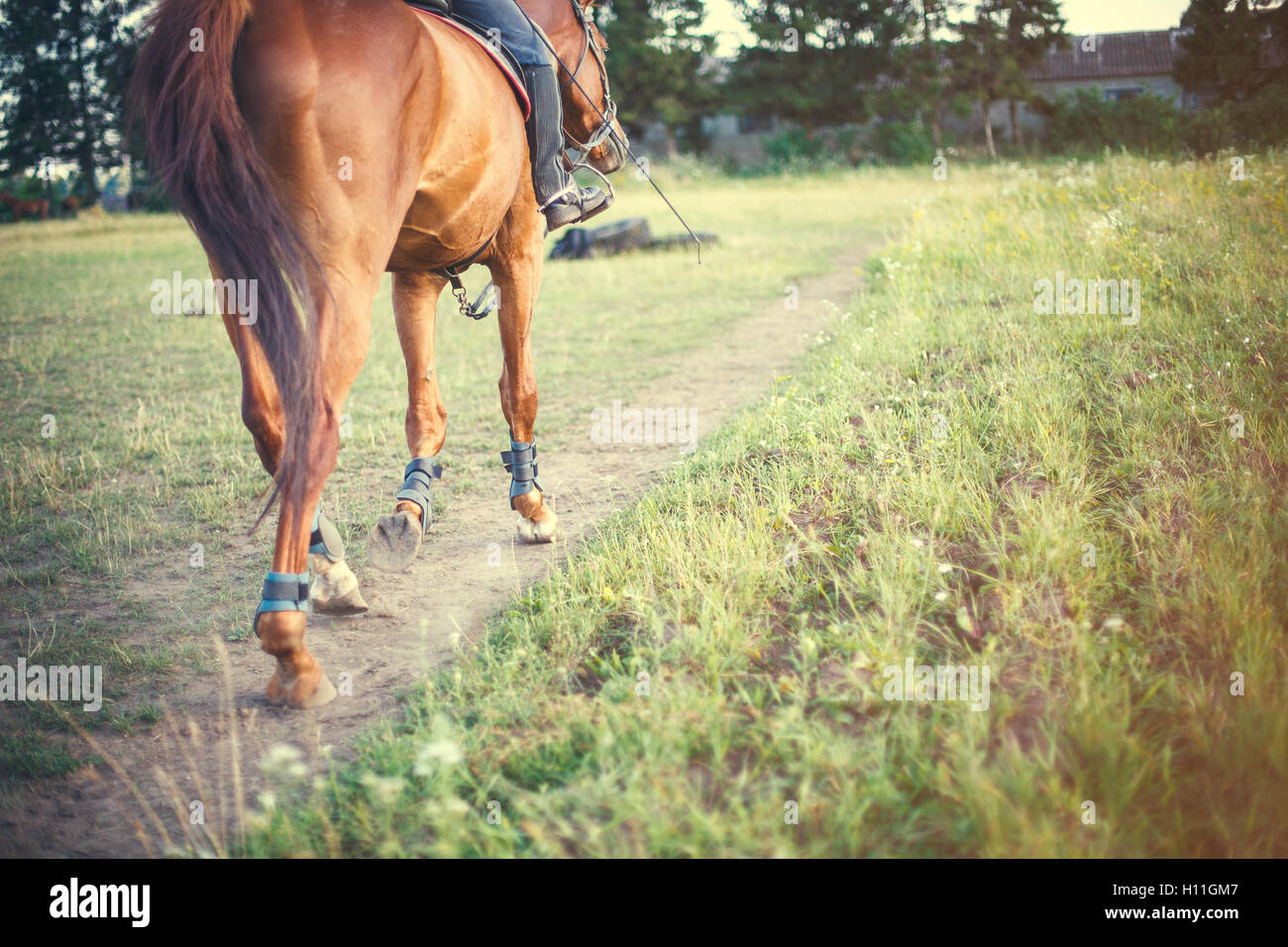 Hübsche reiterin pferd -Fotos und -Bildmaterial in hoher Auflösung – Alamy