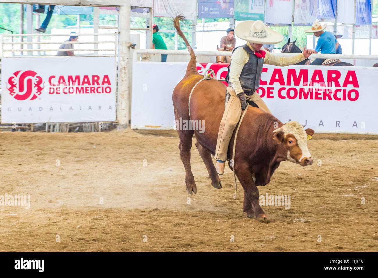Charro ist in einem Bullenreiten Wettbewerb auf dem 23. internationalen ...