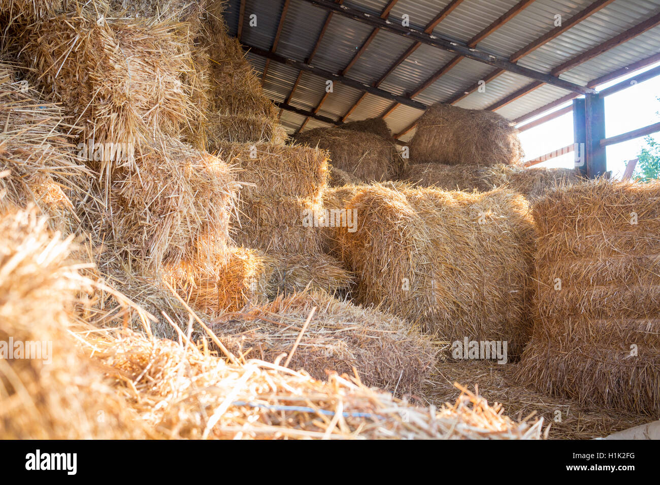 Hangar lagerung -Fotos und -Bildmaterial in hoher Auflösung – Alamy